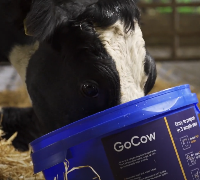 GoCow® – A-One Feed Supplements Limited